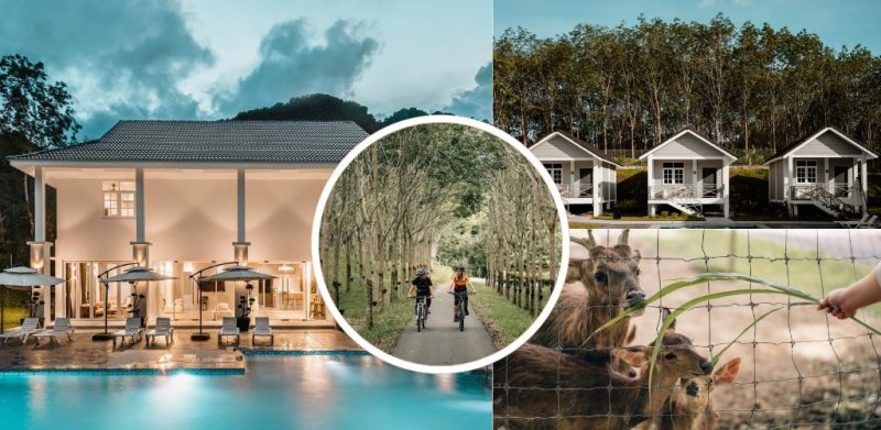 Gua Kelam Chalet, Perlis buat pengunjung mahu lebih lama menginap. Suhu ...